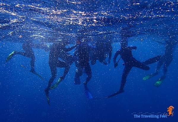 Learn Freediving: How I Learned to Free Dive the Easy Way